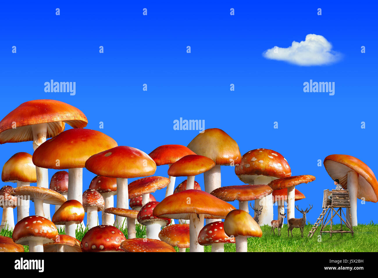 beautiful new world Stock Photo - Alamy