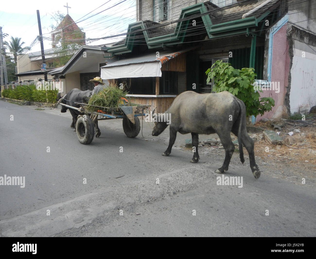0285 Cojuanco Rizal Poblacion Santa Rosa Nueva Ecija Sumacab Bridge ...