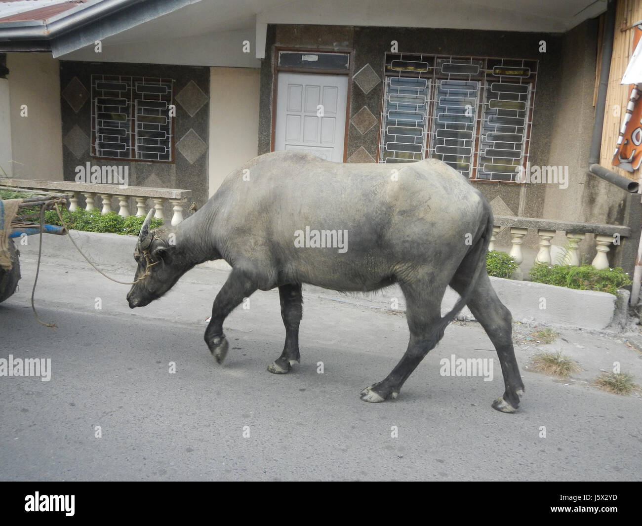 Cojuanco hi-res stock photography and images - Alamy