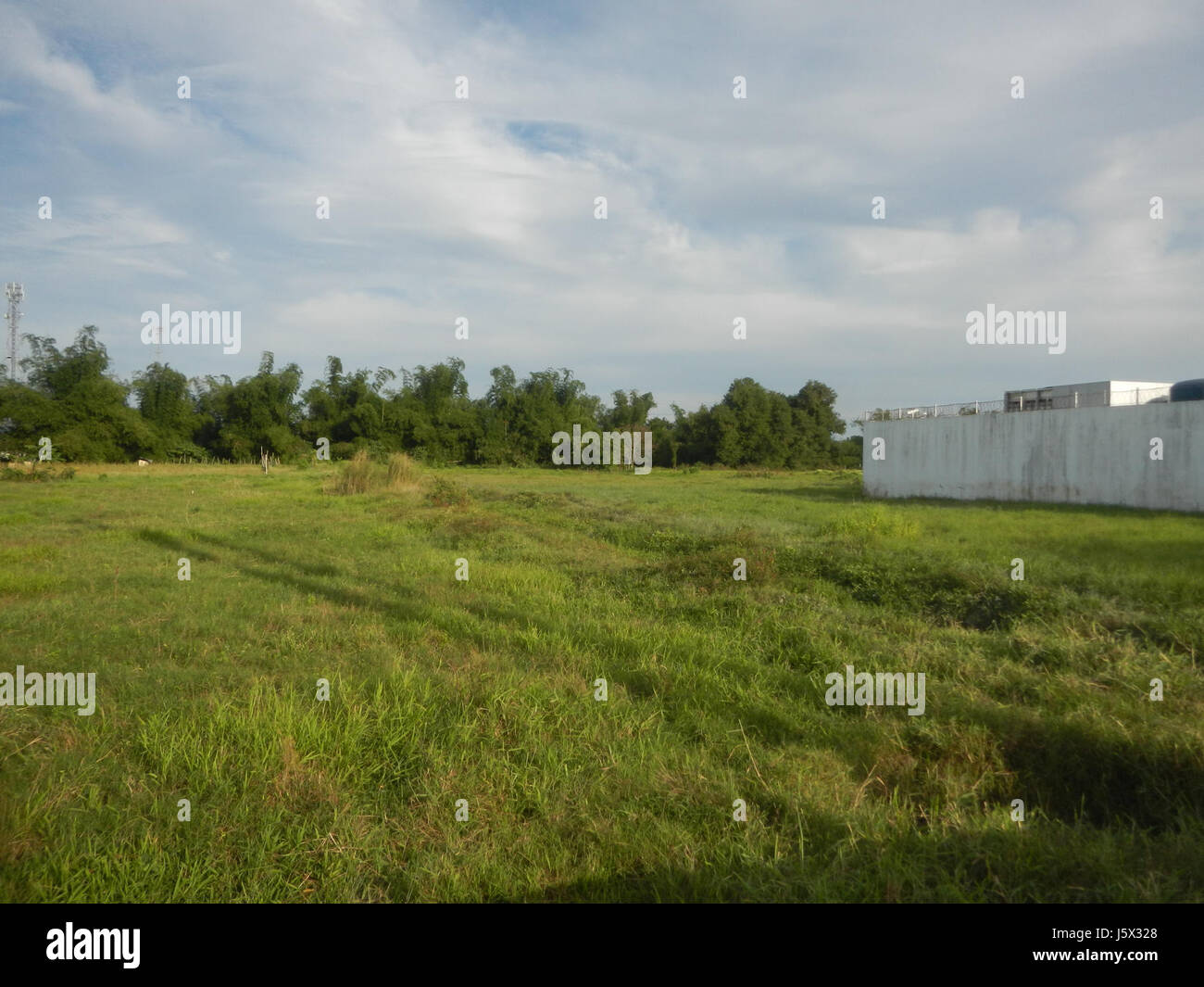 00378 Paddy fields Grasslands Sumacab Sur Norte, Cabanatuan City 09 ...