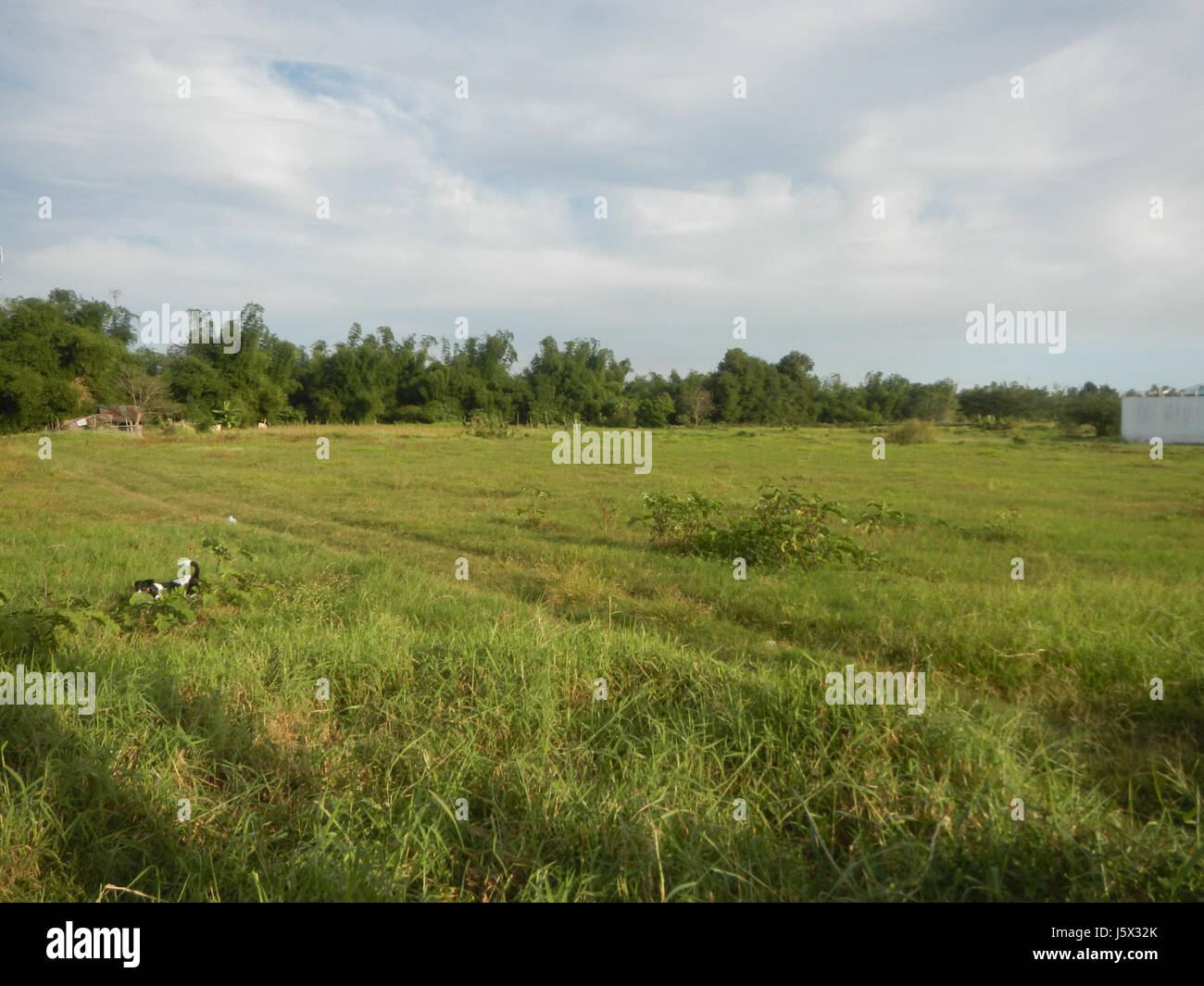 The '00378' image shows the paddy fields and grasslands in Sumacab Sur ...