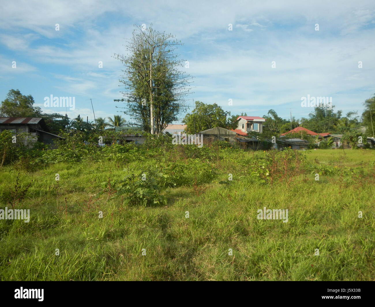 A rural scene depicting the paddy fields and grasslands in Sumacab Sur ...