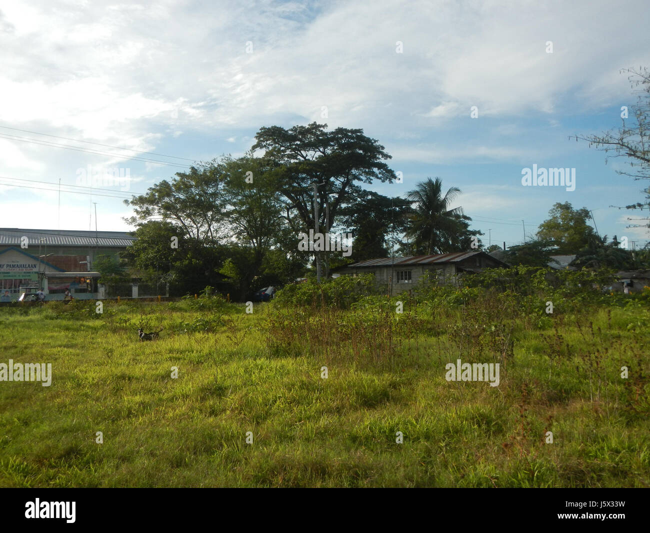 The image captures paddy fields and grasslands in Sumacab Sur ...
