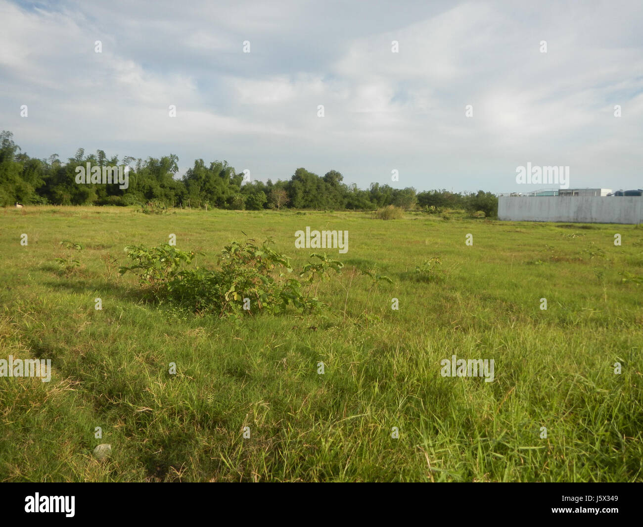 0437 Paddy fields Grasslands Sumacab Sur Norte, Cabanatuan City 03 ...