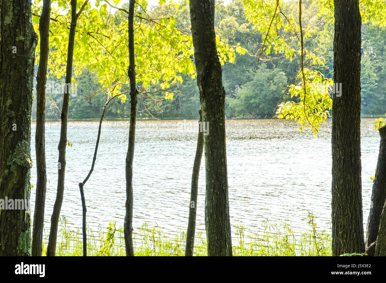 Foreground water hi-res stock photography and images - Alamy