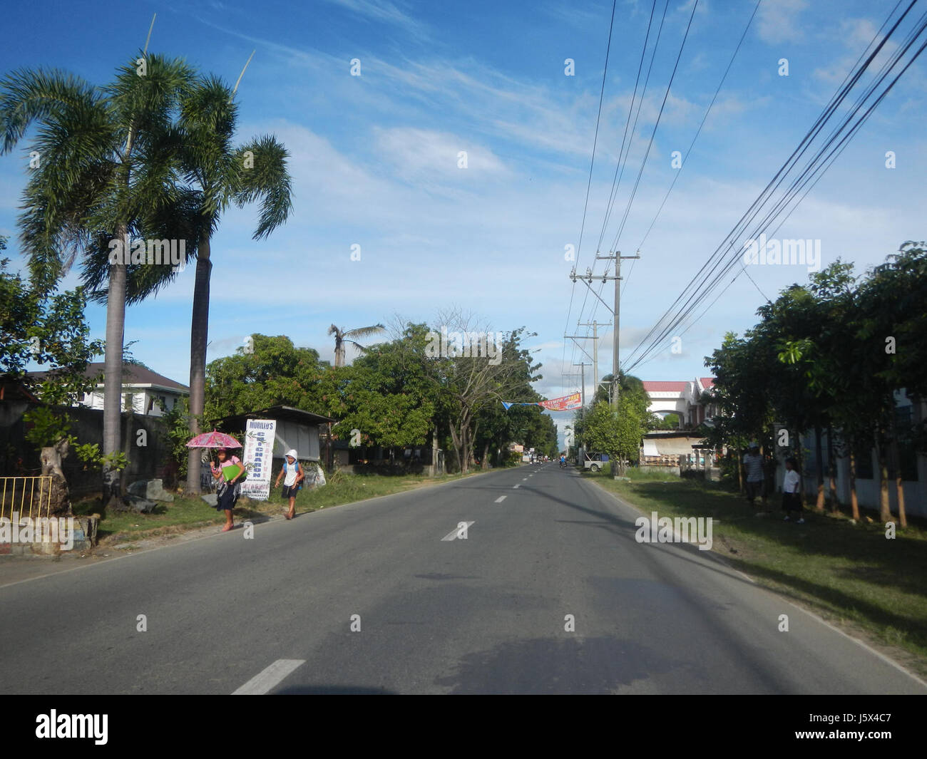 This image depicts the Provincial Road 29, which runs through key ...