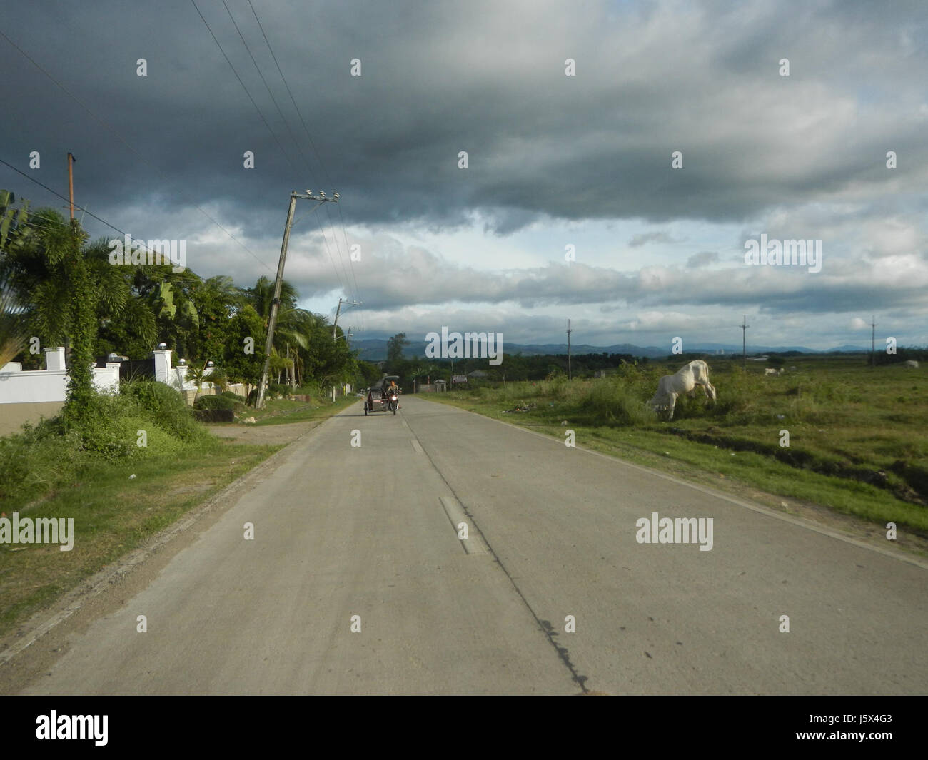 This image depicts a road in the province of Bulacan, Philippines ...