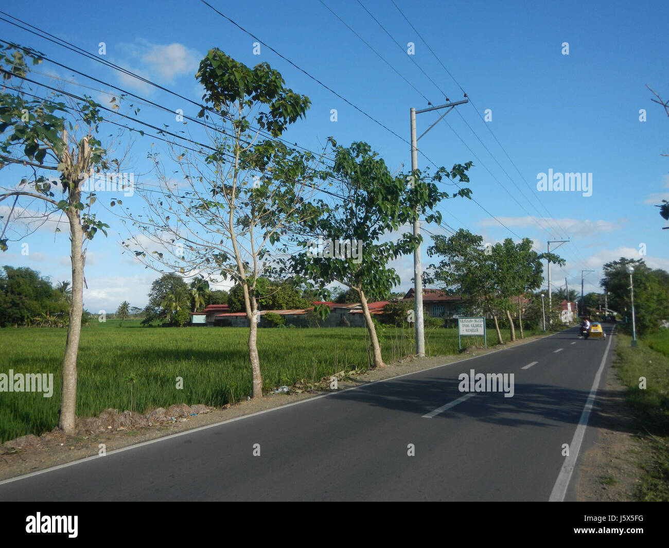 This map or entry shows the roads and subdivisions in the Barangays ...