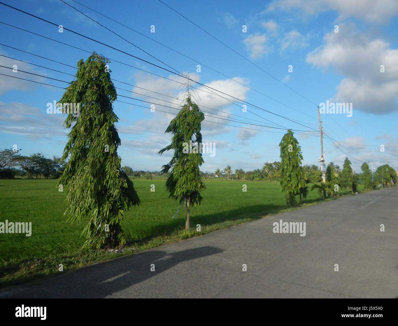 This photograph shows Balante Boulevard in Gapan City, Philippines ...