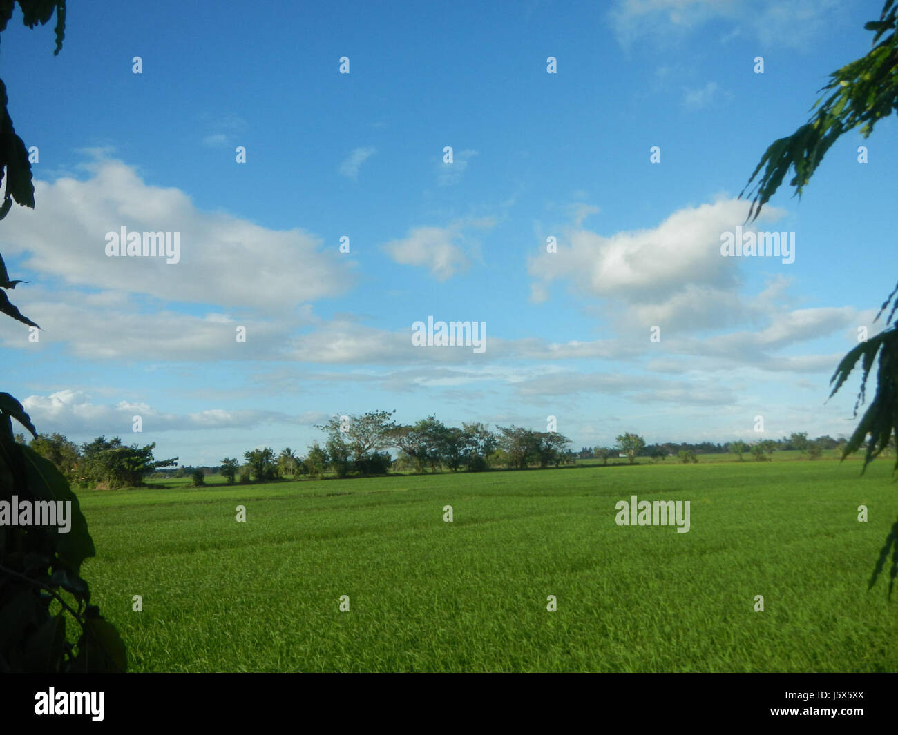 Balante Boulevard in Gapan City, located in the Philippines, is a ...