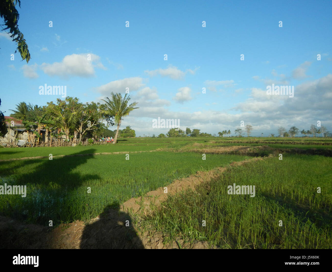 Balante Boulevard in Gapan City, located in Nueva Ecija, Philippines ...