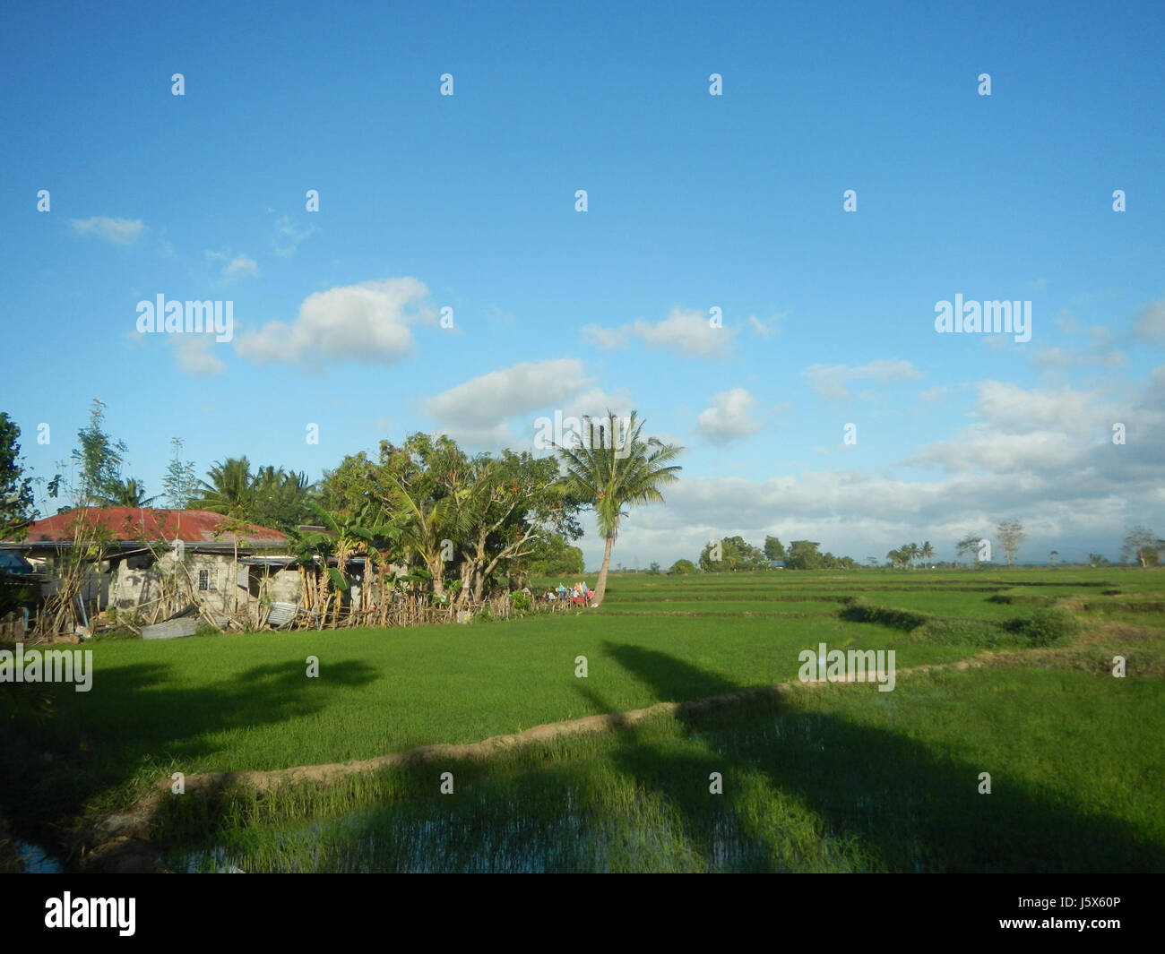 This image depicts Balante Boulevard in Gapan City, Philippines ...