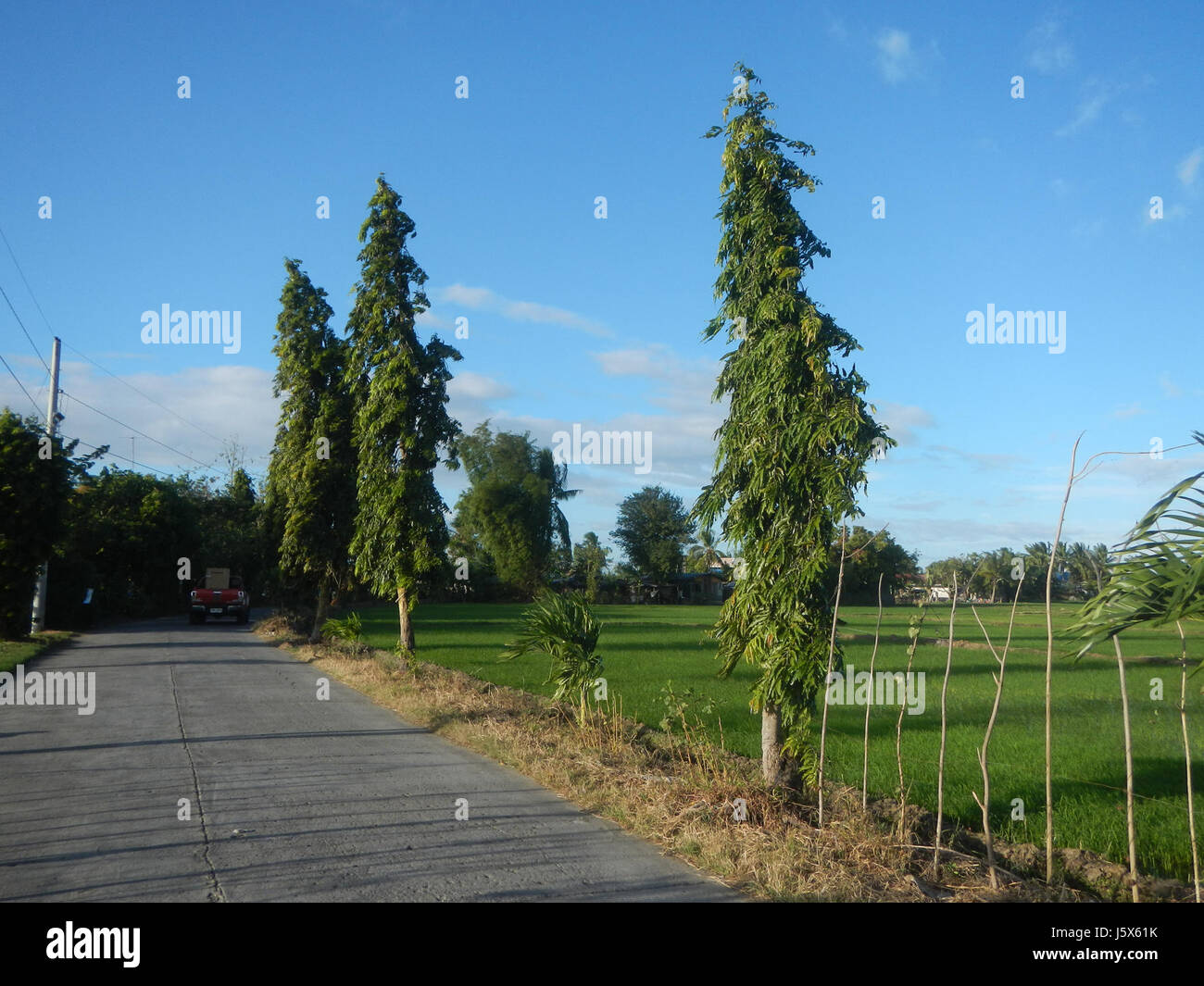 The image showcases the rural landscape along Balante Boulevard in ...