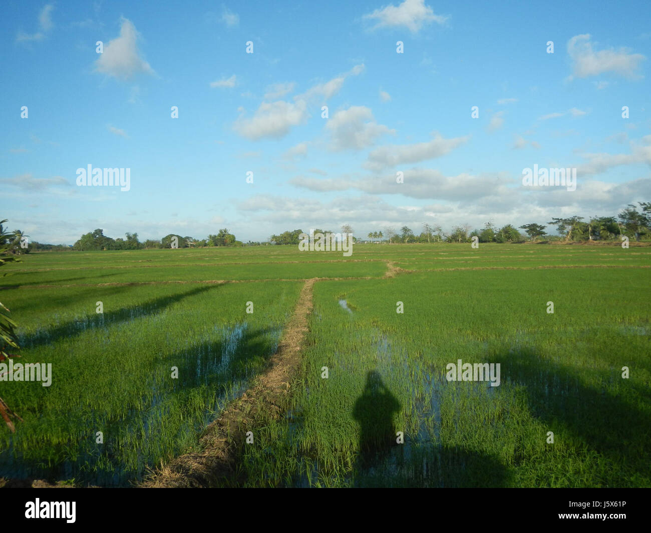 This image shows a view of Balante Boulevard in Gapan City, featuring ...
