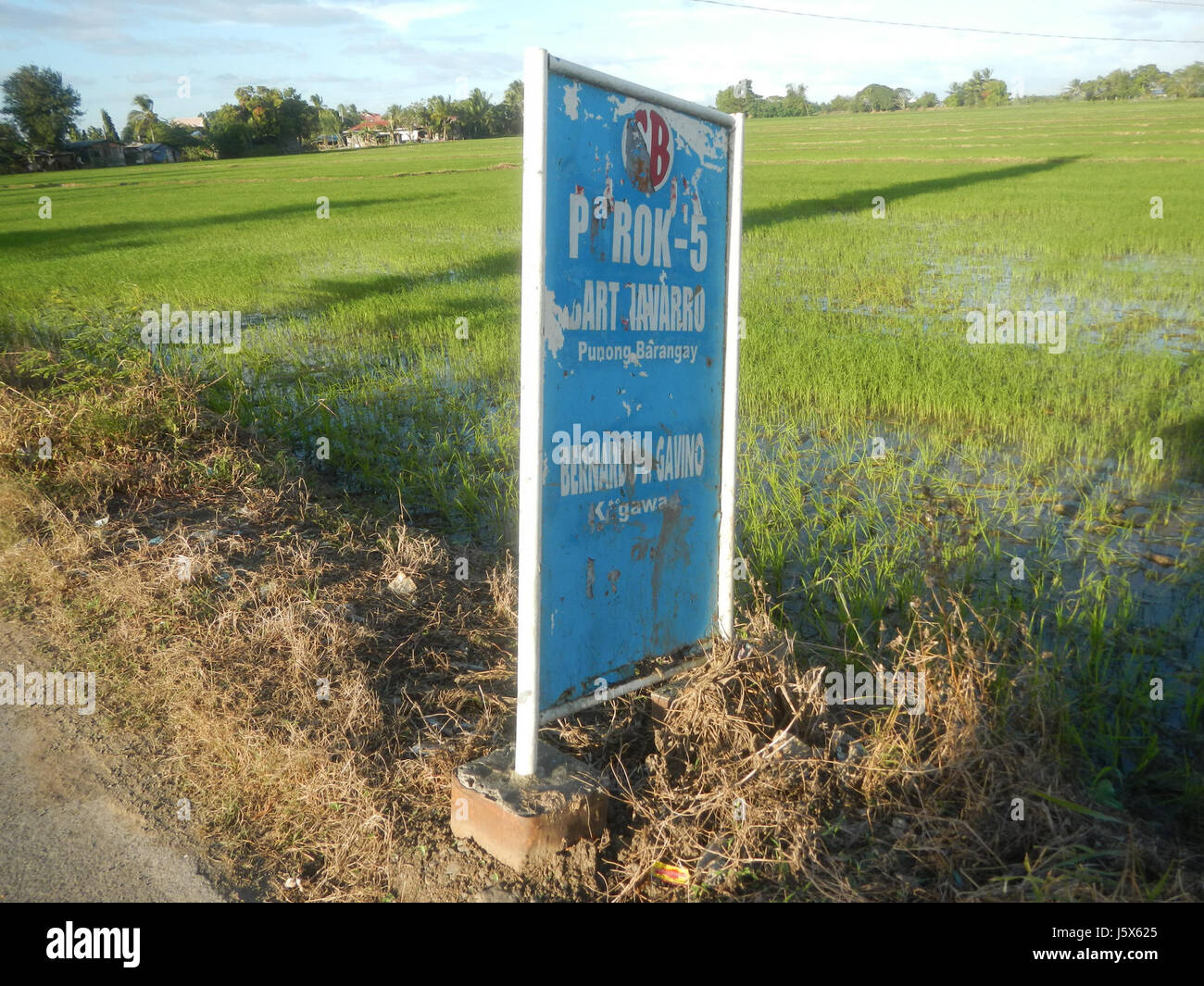 A scenic view of Balante Boulevard in Gapan City, showing a rural ...