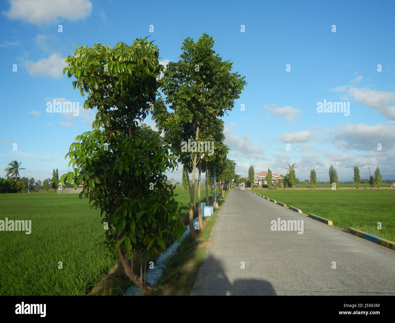 A view of Balante Boulevard in Gapan City, Philippines, showcasing ...