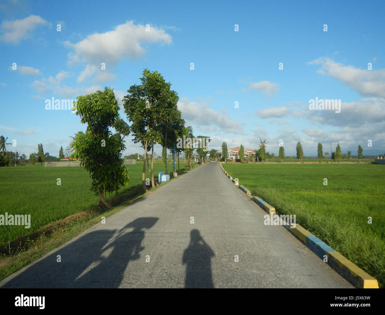 A landscape view of Balante Boulevard in Gapan City, showcasing fields ...