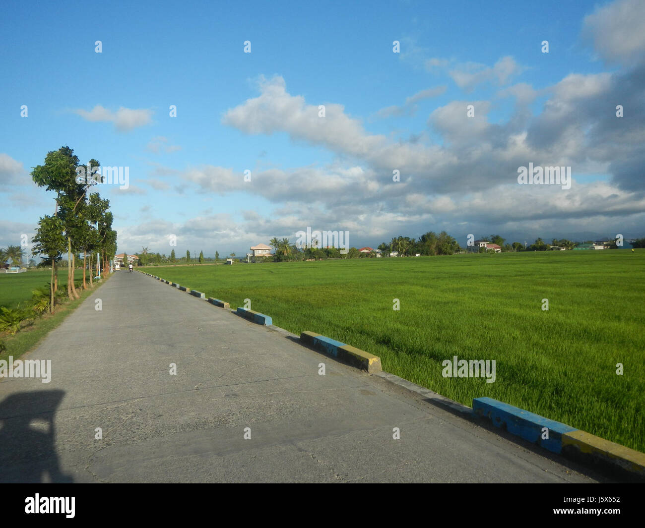 This image depicts Balante Boulevard in Gapan City, showing the fields ...