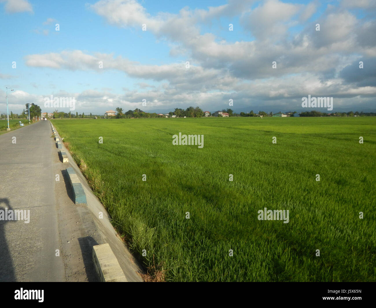 This image showcases a scenic view of Balante Boulevard in Gapan City ...