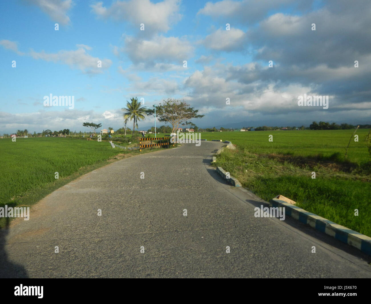 A view of Balante Boulevard in Gapan City, featuring fields, trees, and ...