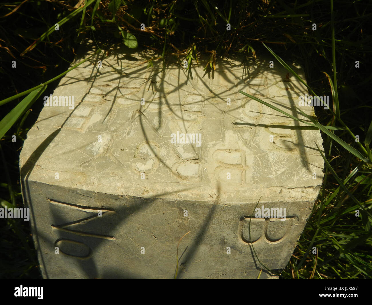 The photograph captures a rural scene in Gapan City, showcasing the ...