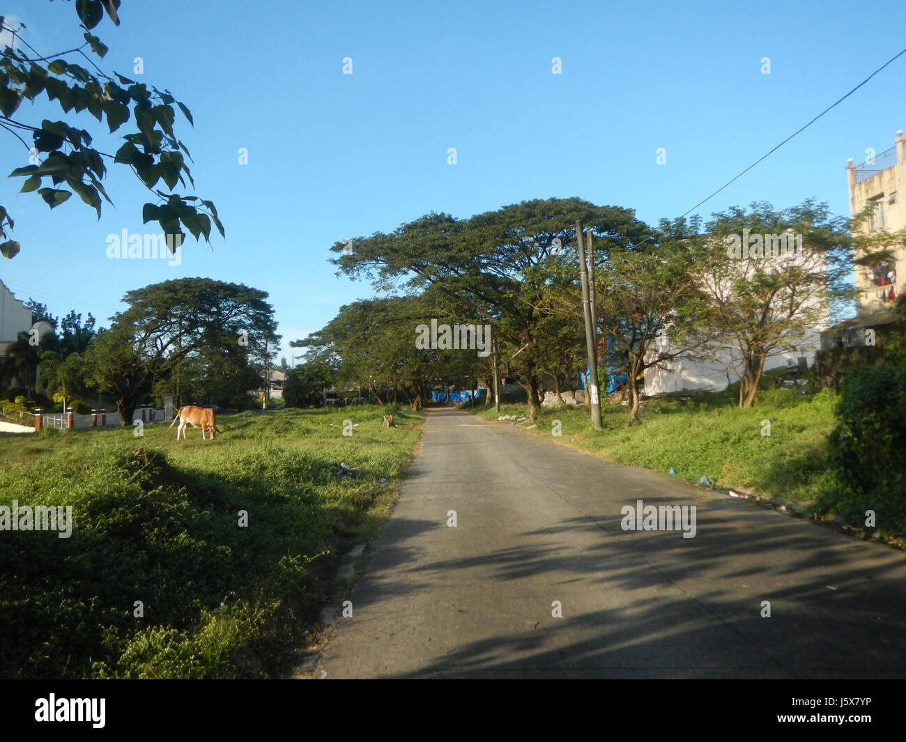 This image shows the Metrogate Meycauayan II Heritage Homes development ...