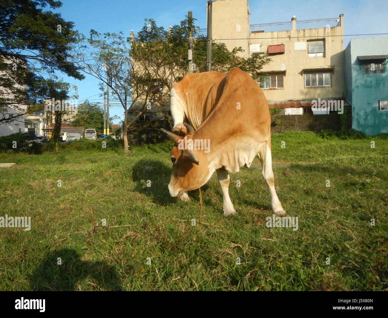 Metrogate Meycauayan II in Marilao, Bulacan, features heritage homes ...