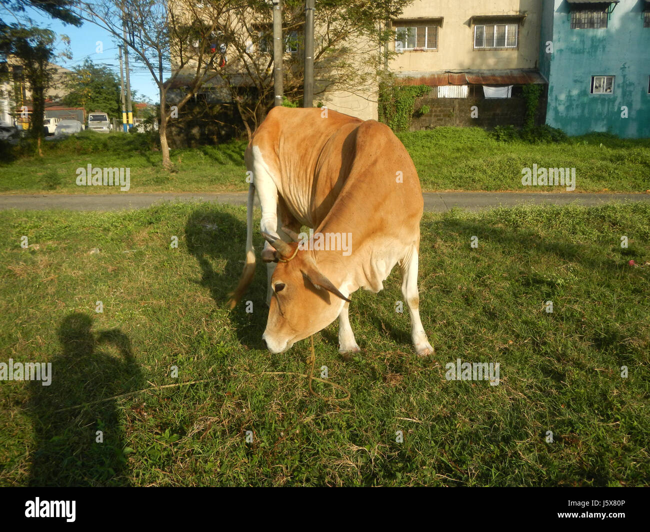 Metrogate Meycauayan II Heritage Homes, located in Loma de Gato ...