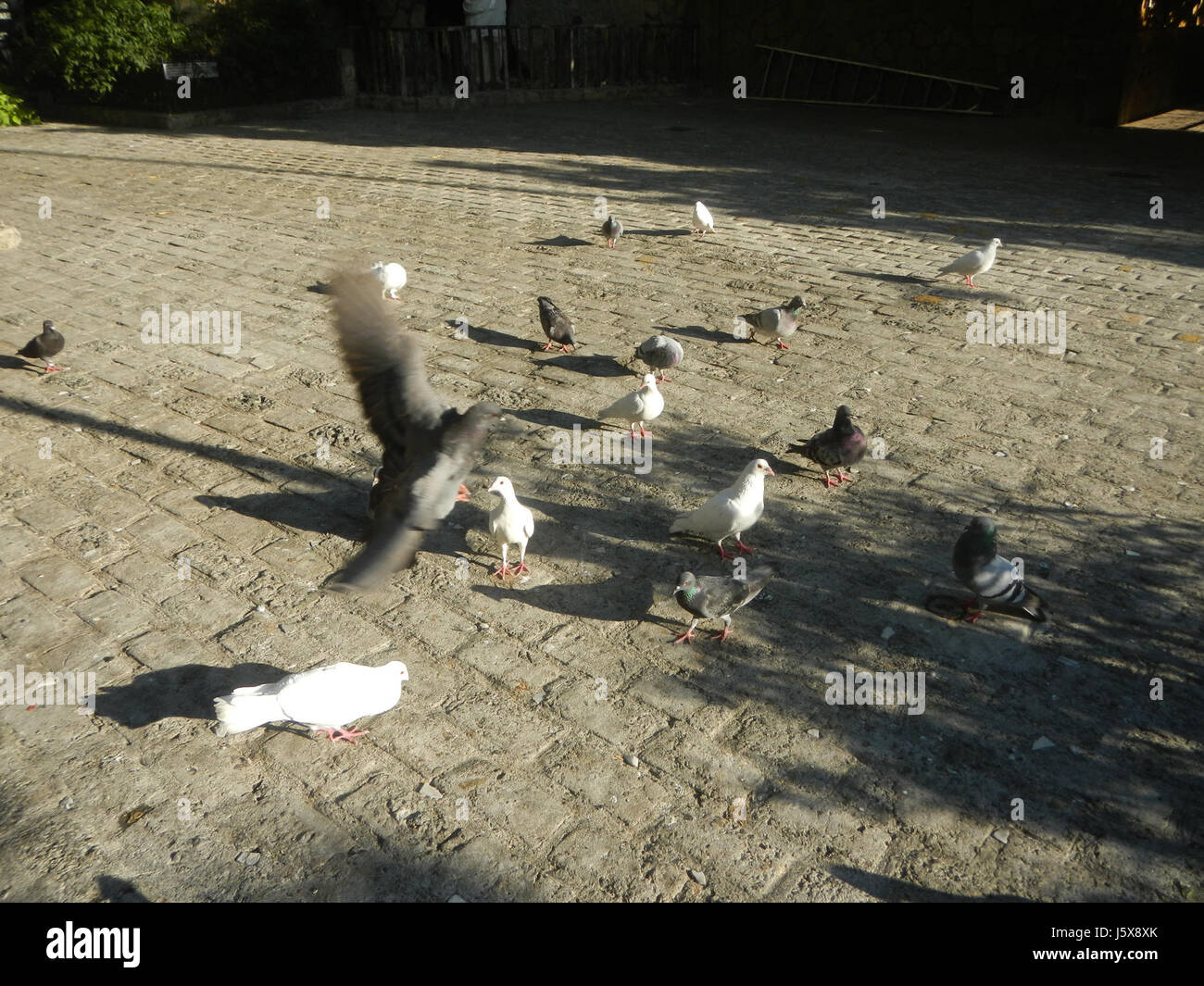 The Saint Pio of Pietrelcina Chapel in Bagumbayan, Quezon City ...