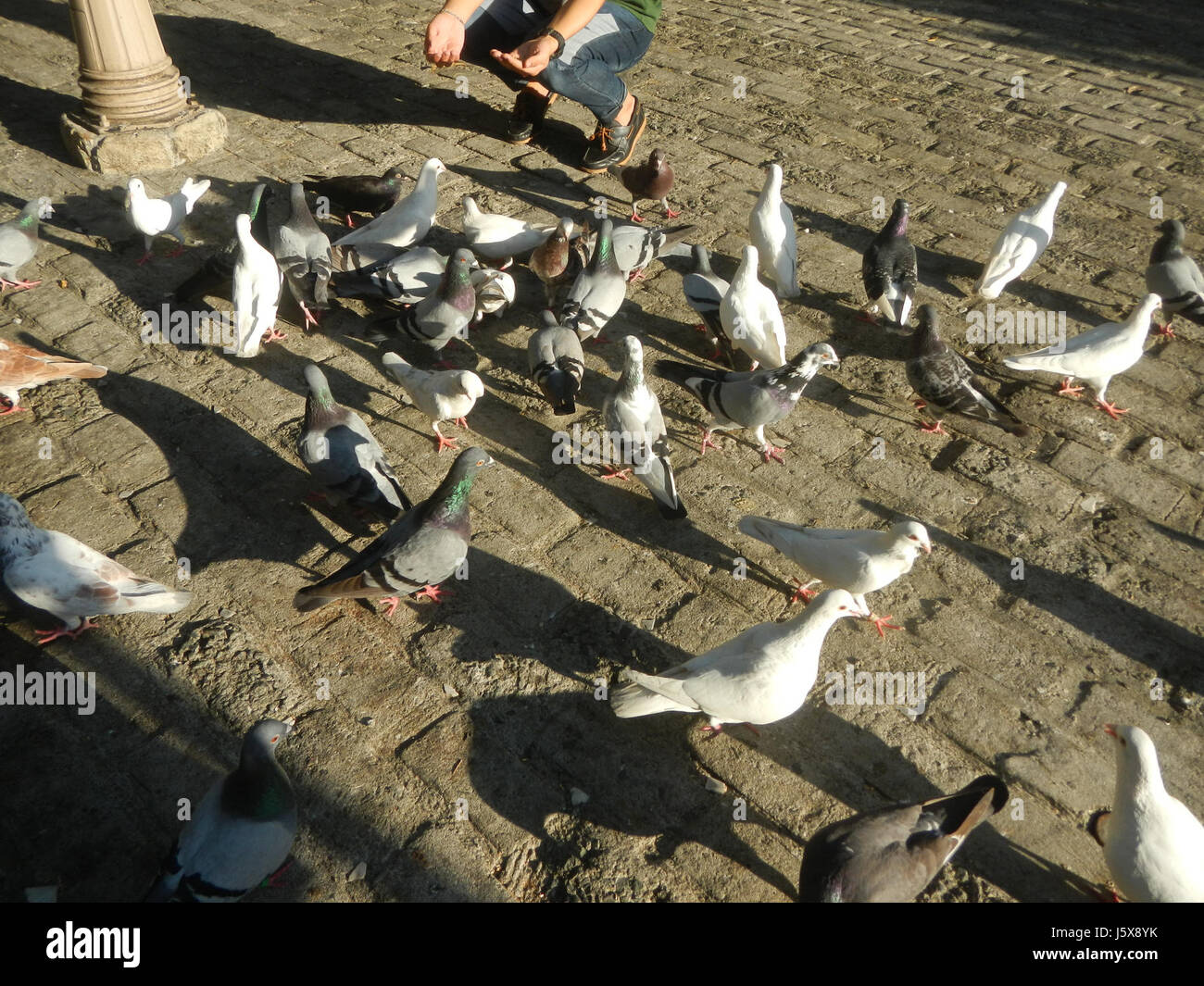 Pio of pietrelcina chapel hi-res stock photography and images - Alamy