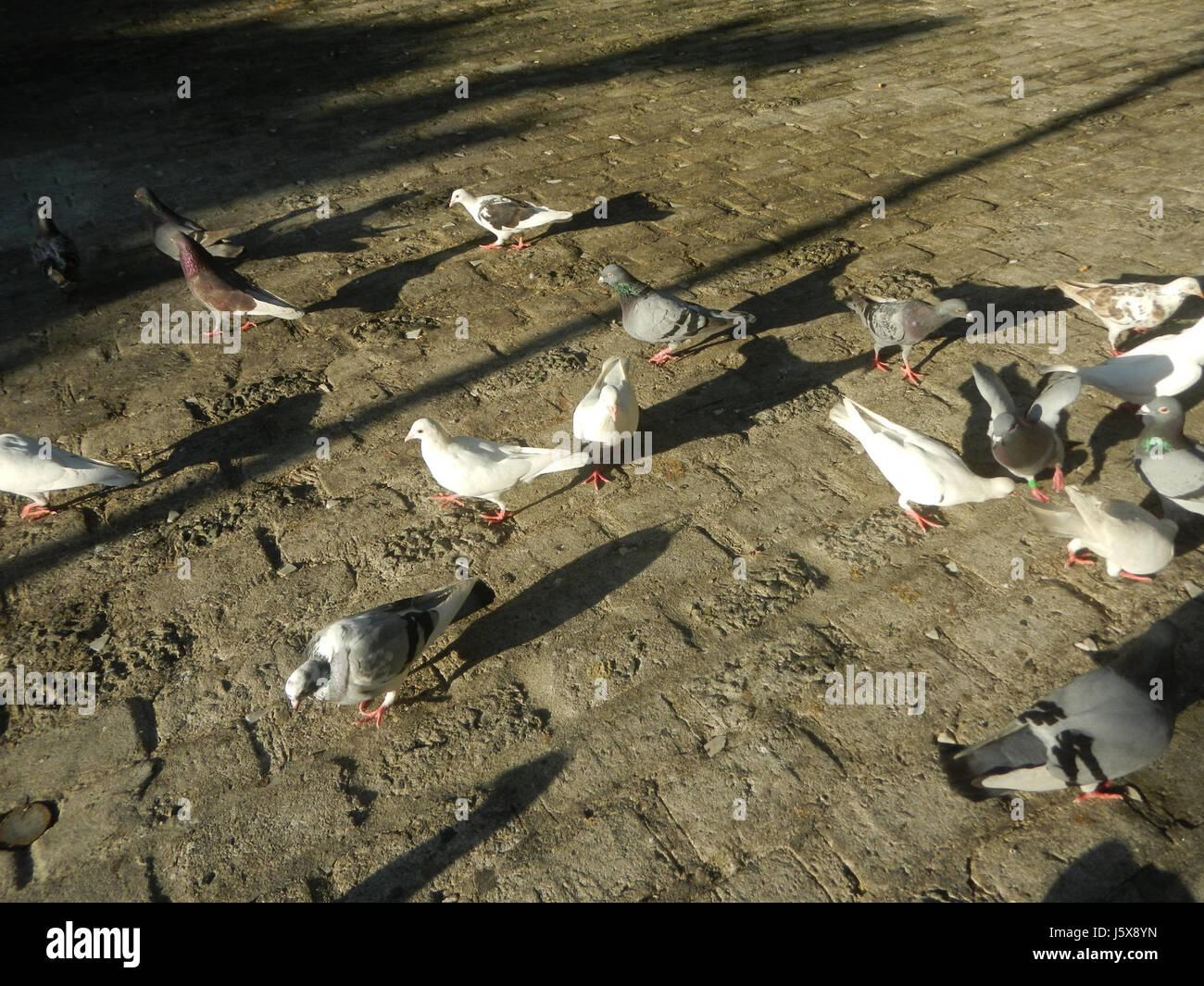 Pio of pietrelcina chapel hi-res stock photography and images - Alamy