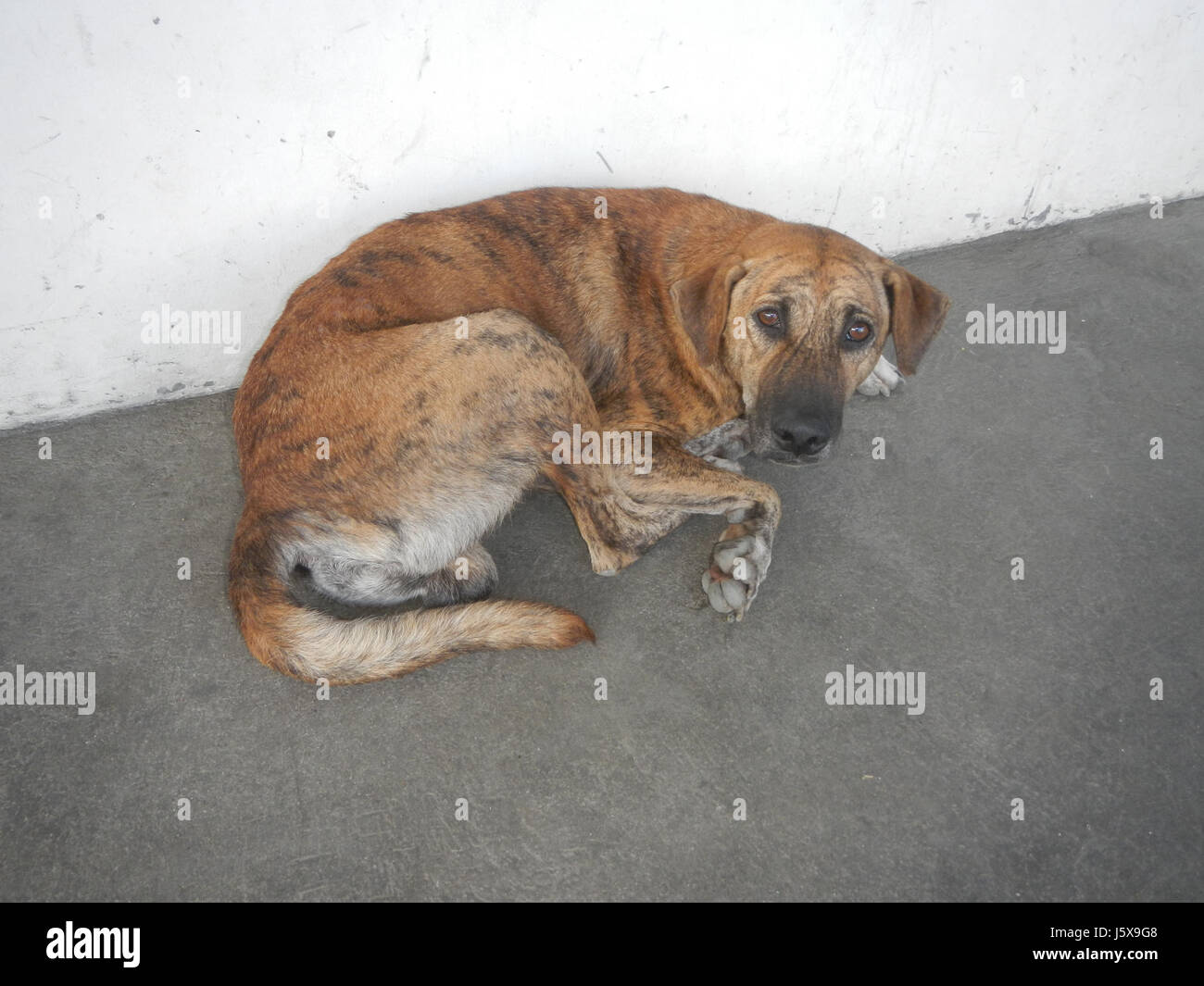 Native philippine culture hi-res stock photography and images - Alamy