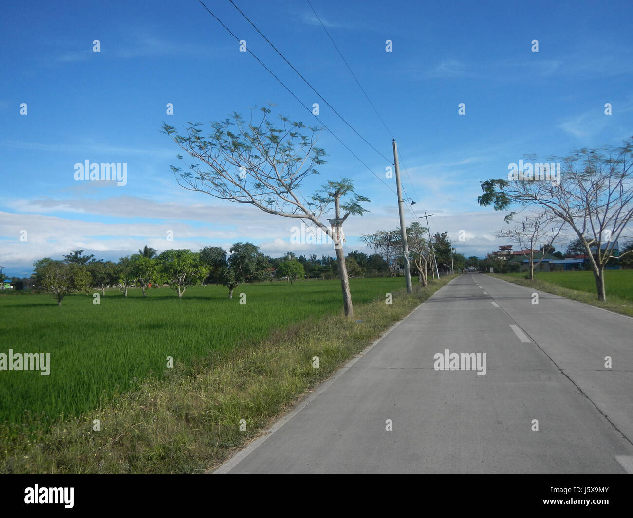 Road 12, connecting Bulualto, San Miguel, Bulacan, Parcutela, Gapan ...