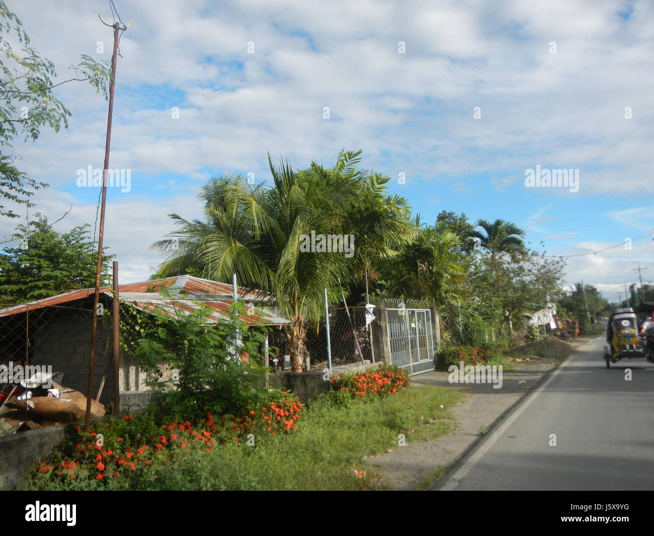 03515 Paddy fields grasslands, trees and irrigation Pulo Tabon San ...