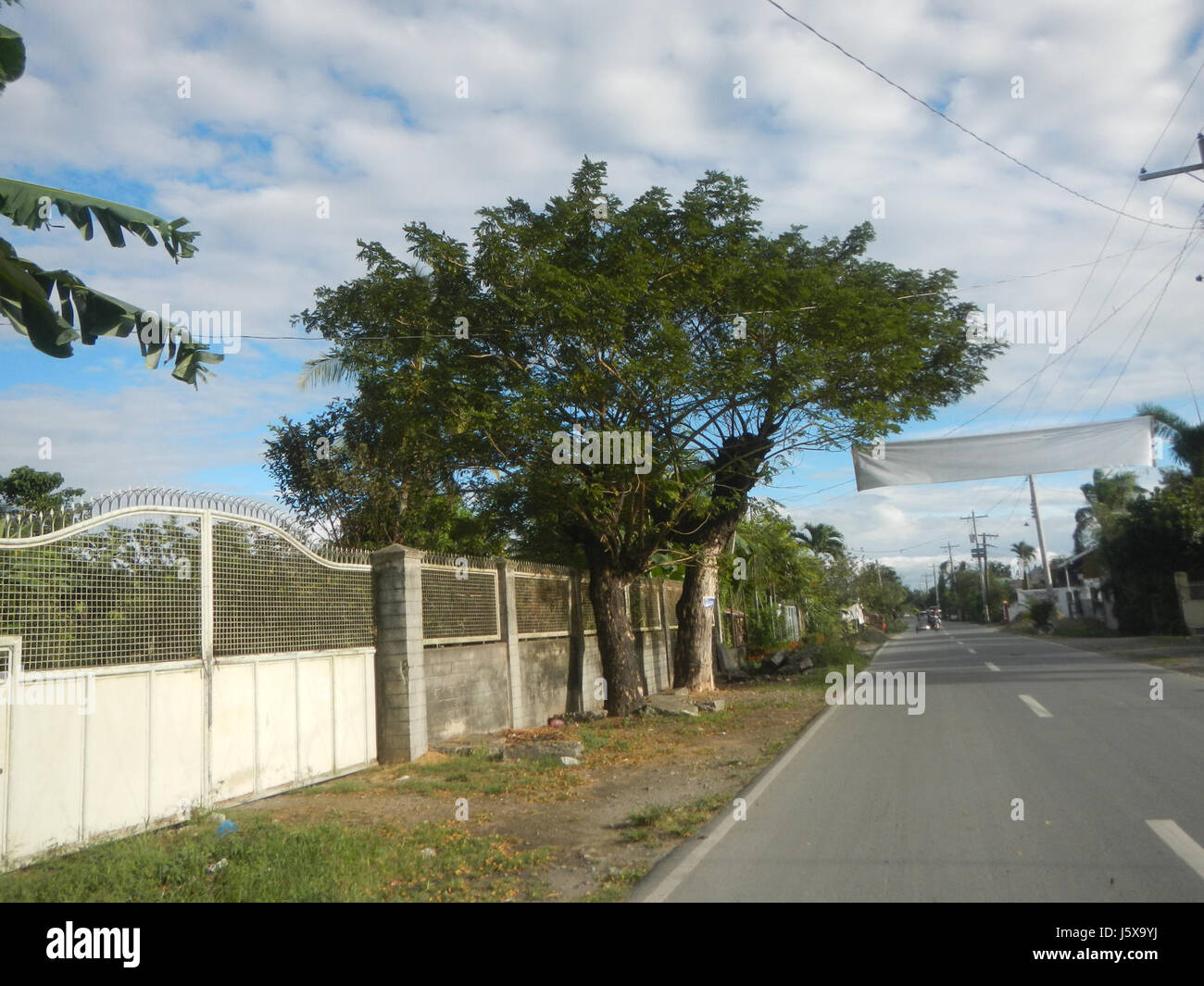 A photograph showcasing the paddy fields and grasslands in Pulo Tabon ...