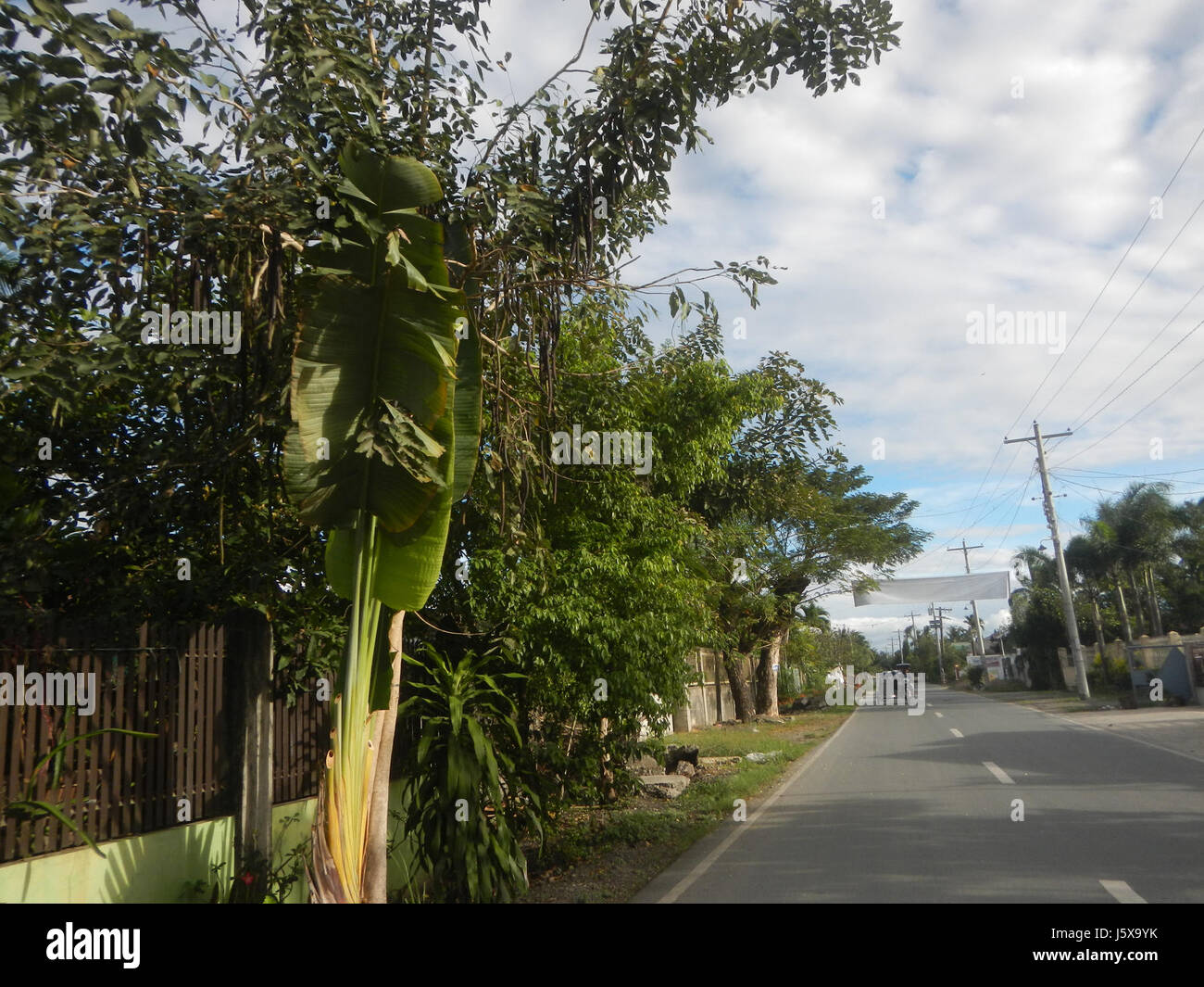 03515 Paddy fields grasslands, trees and irrigation Pulo Tabon San ...