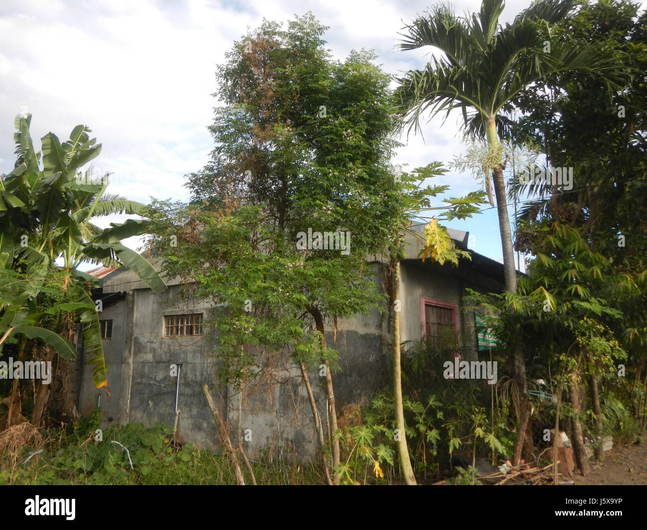 The landscape of Pulo Tabon in San Isidro, Nueva Ecija is characterized ...