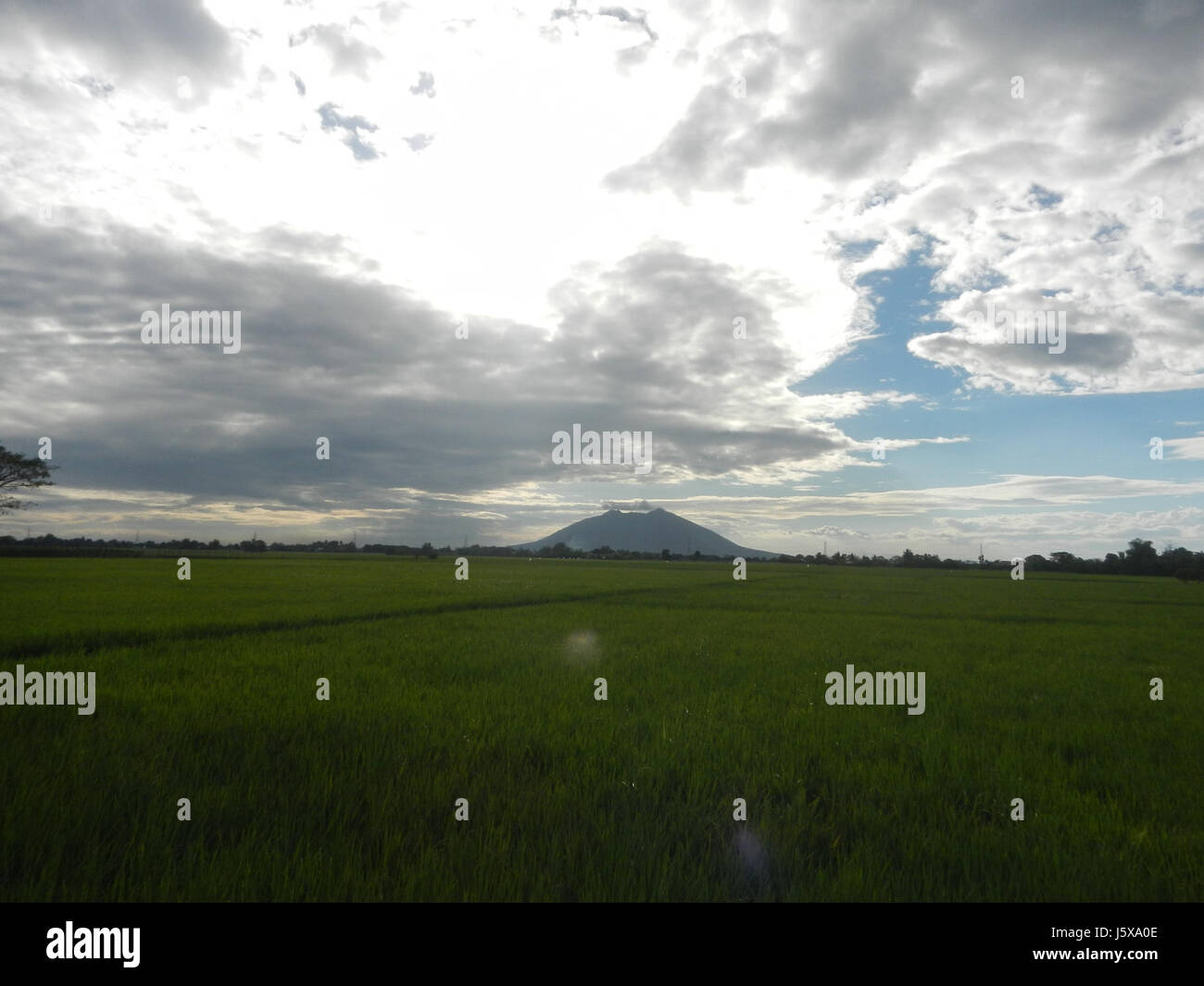 This image shows the expansive paddy fields and grasslands along Pulo ...