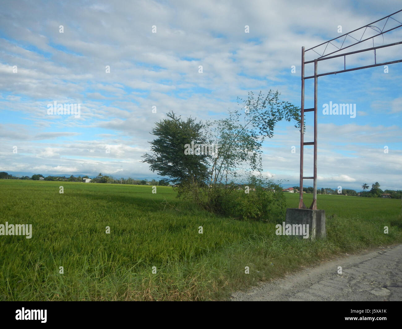 This image captures the rural landscape of Pulo Tabon, San Isidro in ...