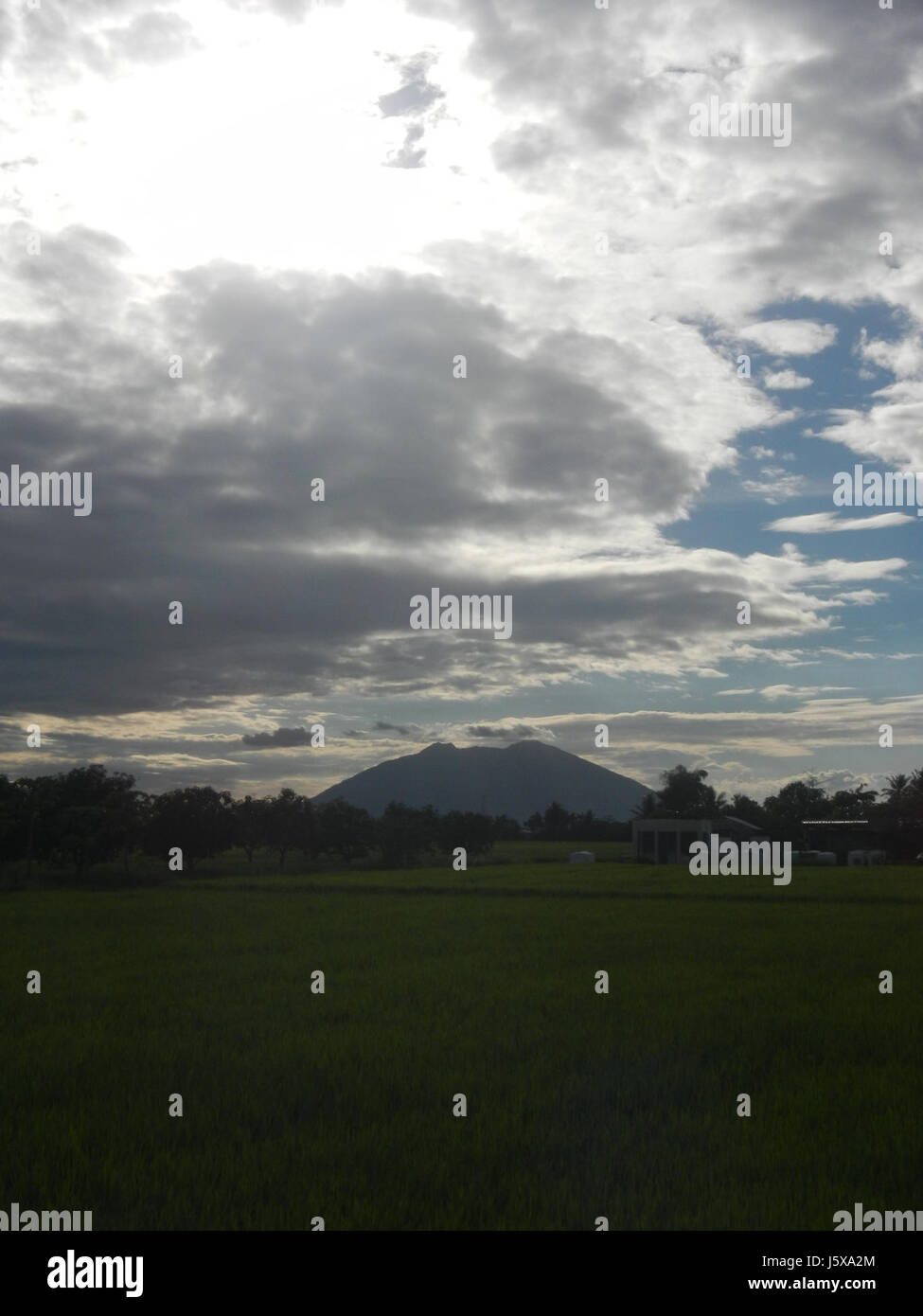 This title describes the agricultural landscape of Pulo Tabon in San ...