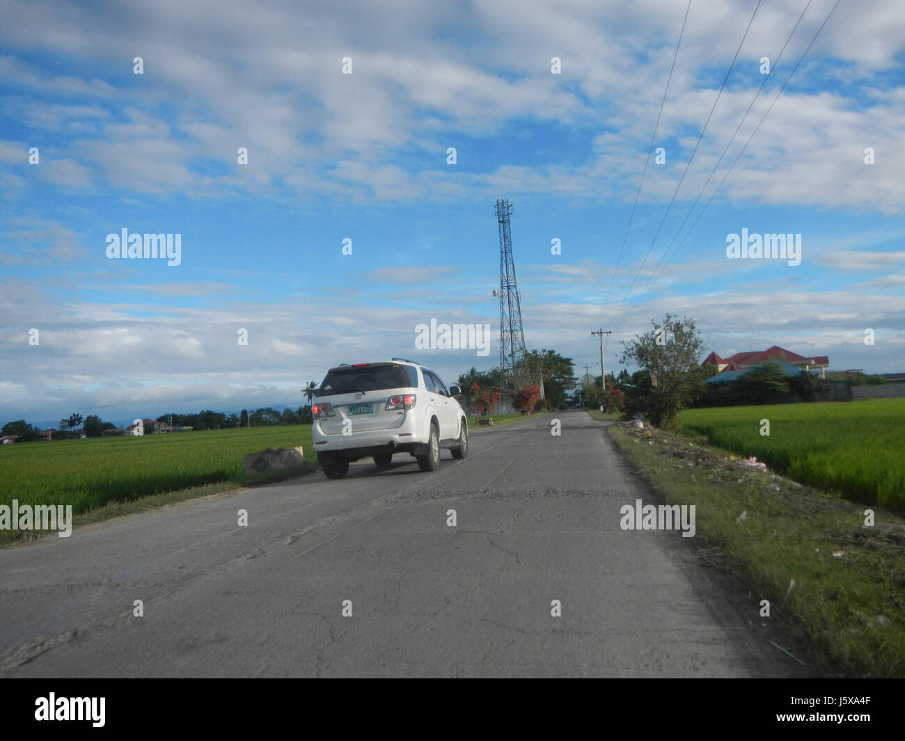 A view of paddy fields in Pulo Tabon, San Isidro, Nueva Ecija, showing ...