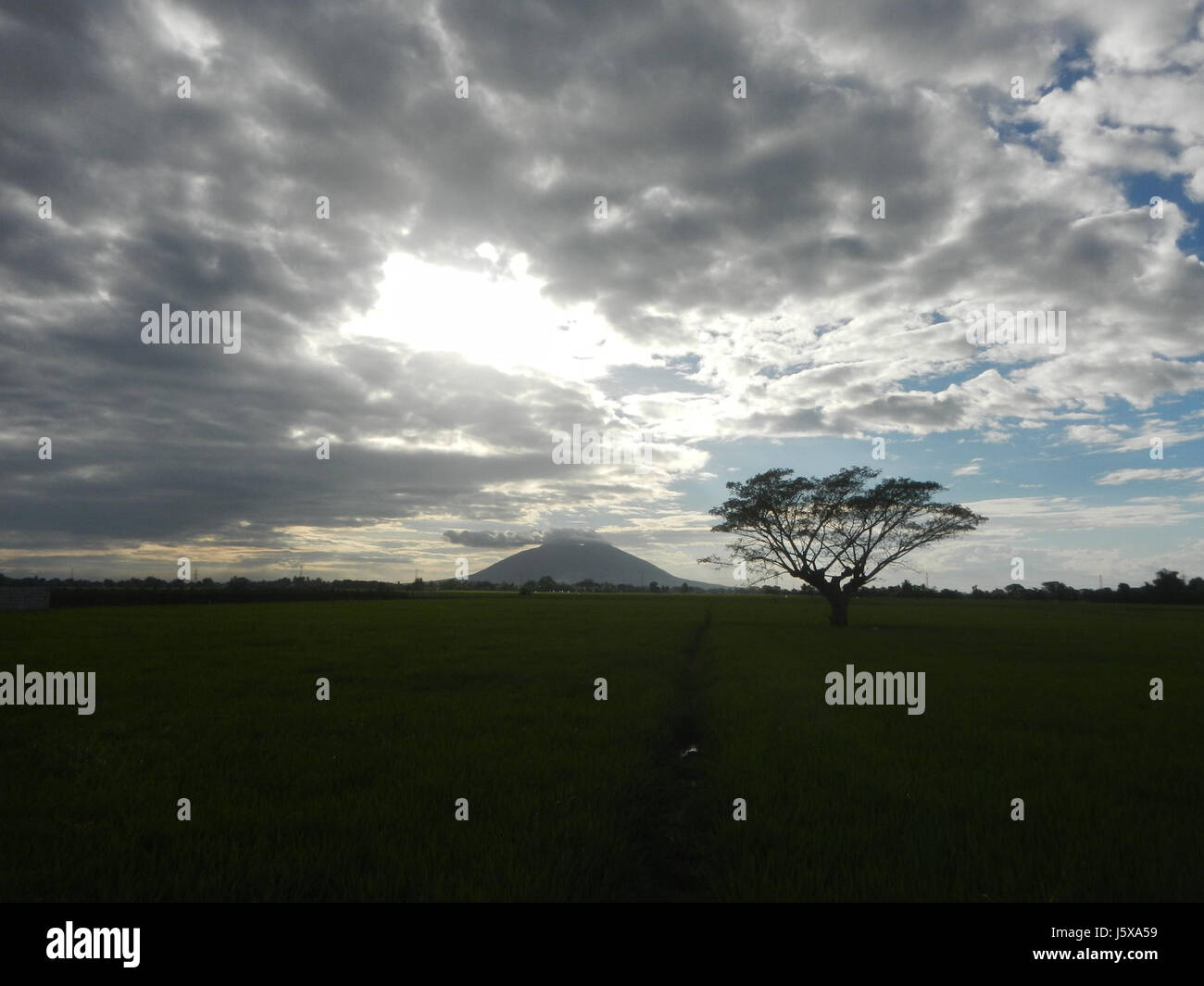 This image showcases the rural landscape of Pulo Tabon, San Isidro ...