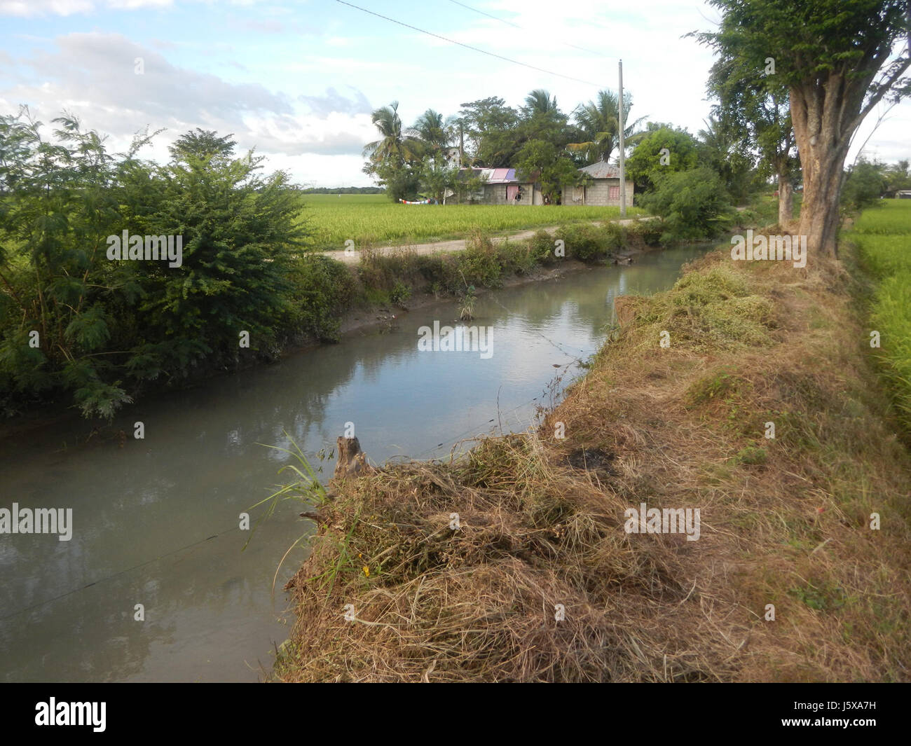 This photograph shows the agricultural landscape of Pulo Tabon in San ...