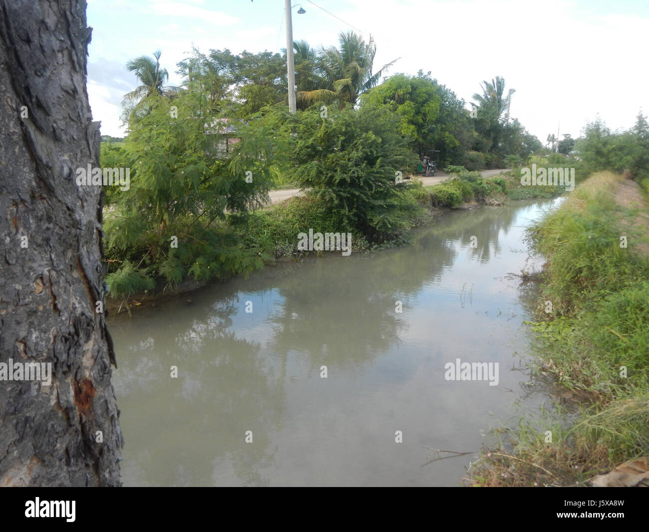 This scene depicts the agricultural landscape of Pulo Tabon in San ...