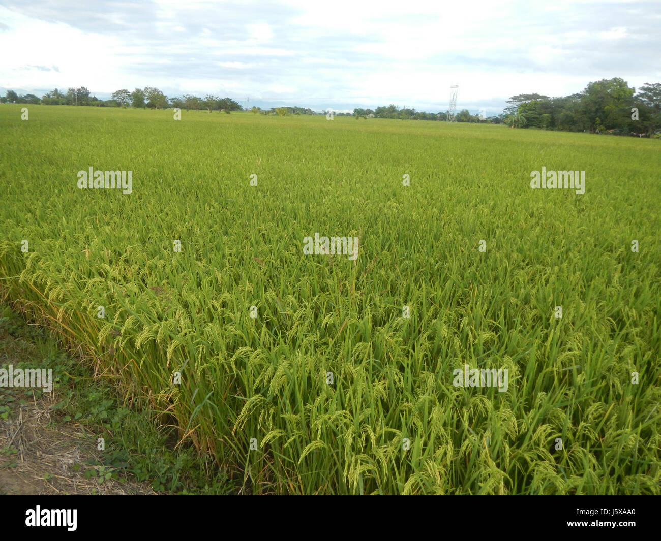 The image depicts the scenic landscape of Pulo Tabon in San Isidro ...