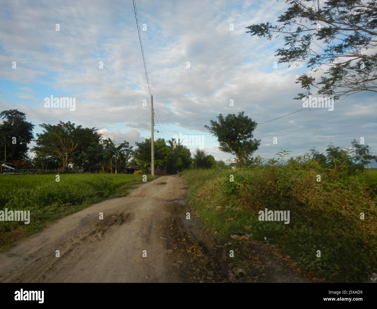 This title describes the agricultural landscape of Pulo, San Isidro ...