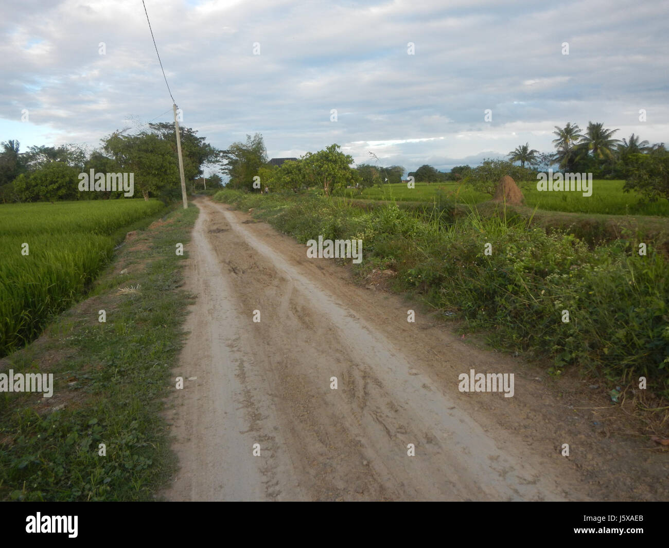 This image depicts the agricultural landscape of Pulo, San Isidro in ...