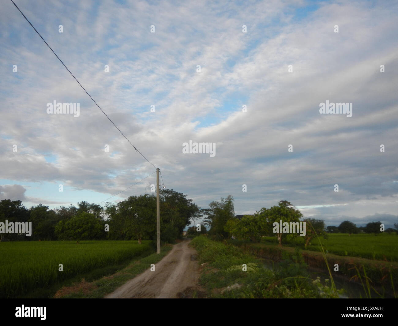 This image captures the agricultural landscape of Pulo, San Isidro in ...
