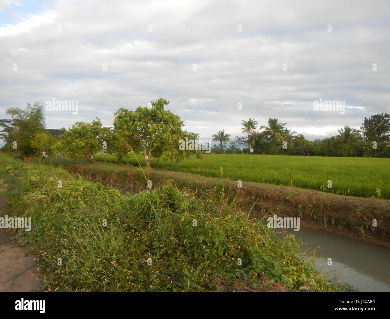 This description refers to the landscape of Pulo, San Isidro in Nueva ...