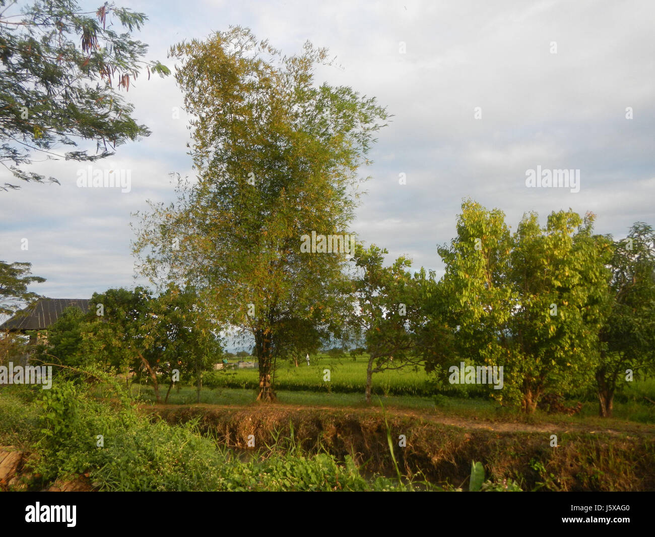 This image depicts the agricultural landscape of Pulo in San Isidro ...